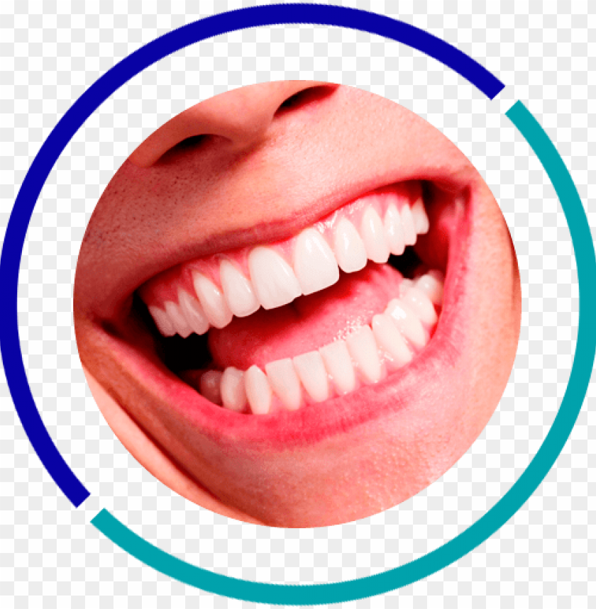 Free download | HD PNG white teeth smile with dental mirror PNG ...