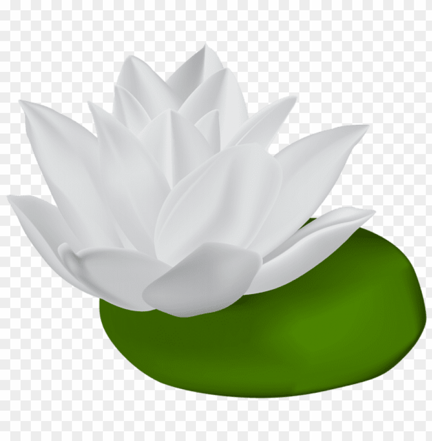 Free download | HD PNG PNG image of white water lily transparent with a ...