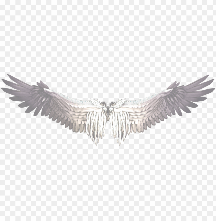 Free download | HD PNG white wings PNG transparent with Clear ...