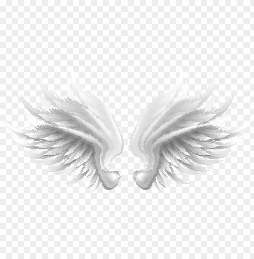 Free download | HD PNG white wings transparent clipart png photo ...