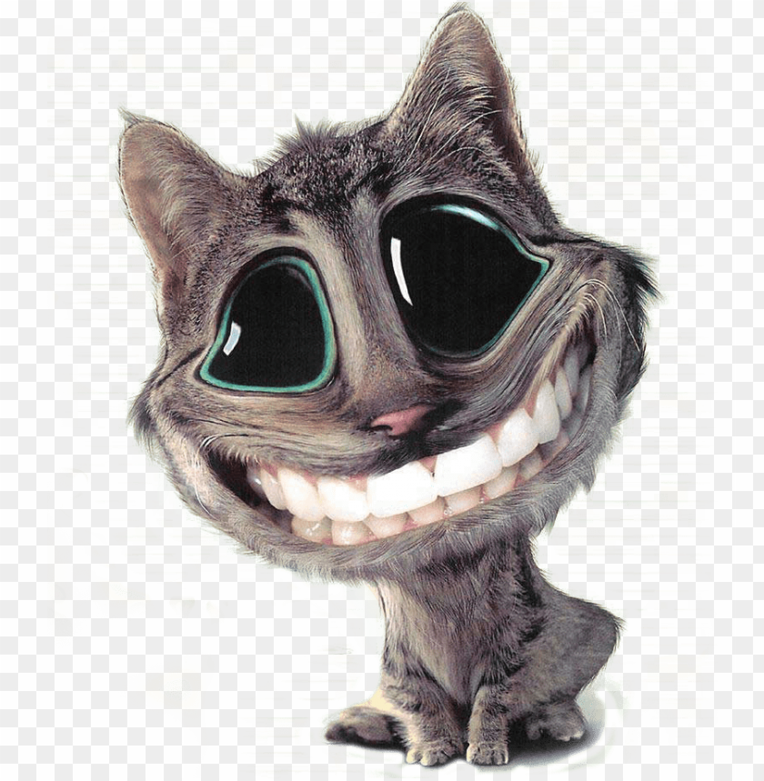 Free download | HD PNG why keep your smile cat PNG transparent with ...