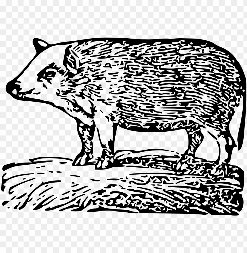 Free download | HD PNG wikimedia commons PNG transparent with Clear ...