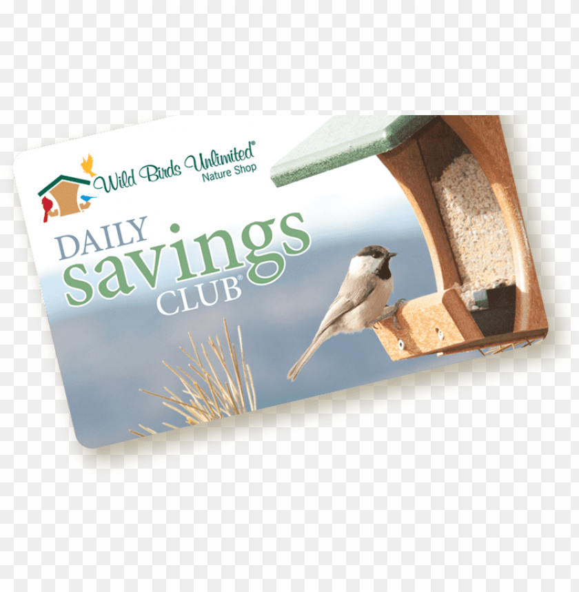 Free download | HD PNG illustrated bird savings card PNG transparent ...