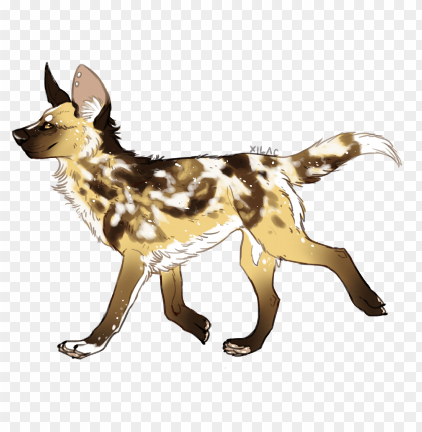Free download | HD PNG wild dogs | TOPpng