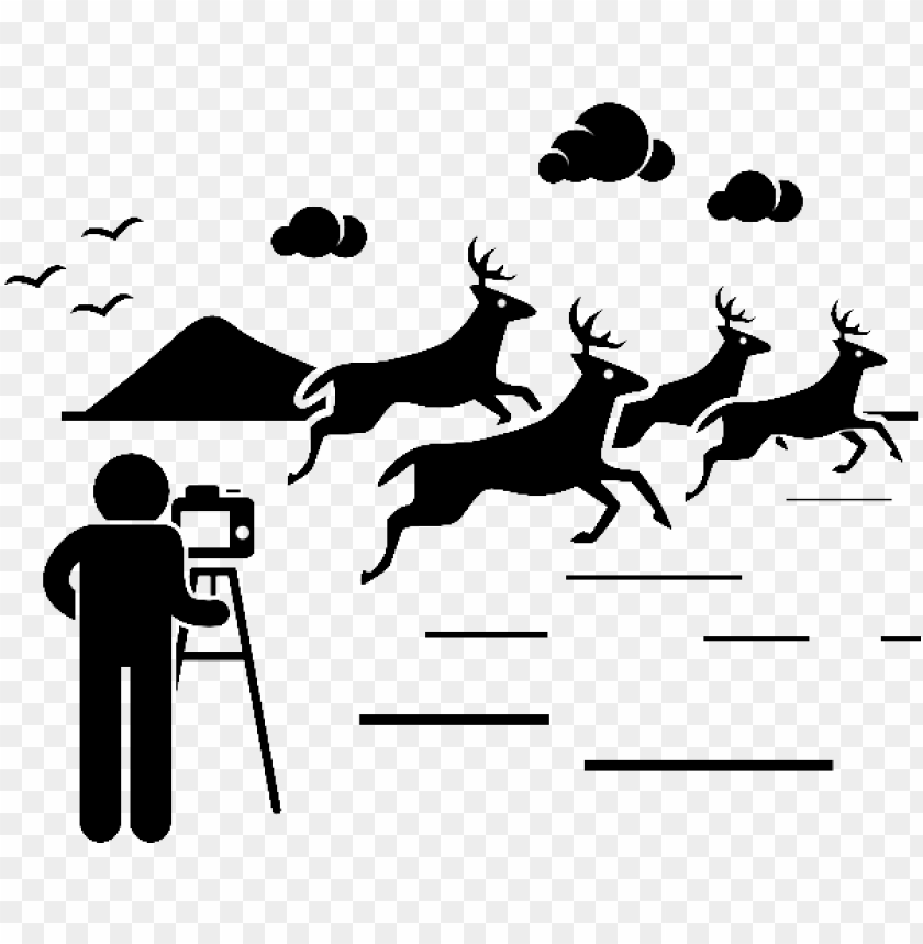 Free download | HD PNG wildlife pictogram model PNG transparent with ...