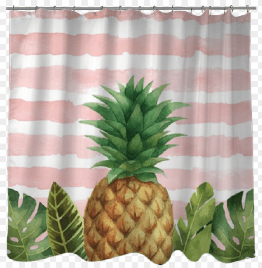 Free download | HD PNG window blind PNG transparent with Clear ...