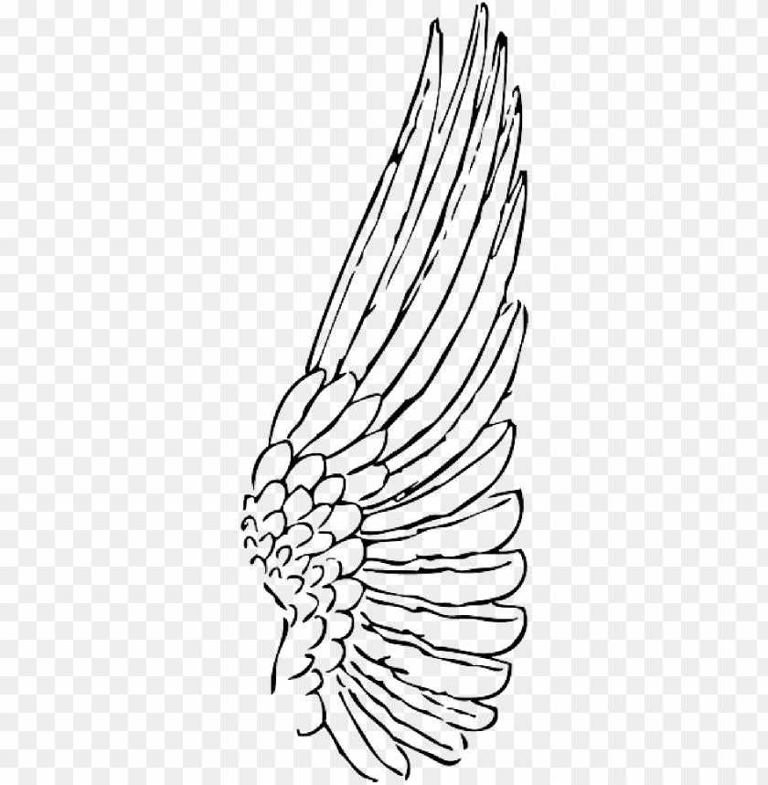 Free download | HD PNG wing PNG transparent with Clear Background ID ...