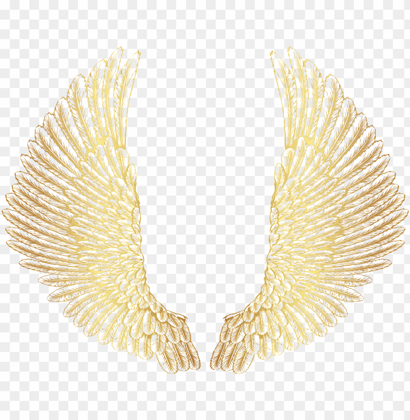 Free download | HD PNG wings PNG transparent with Clear Background ID ...