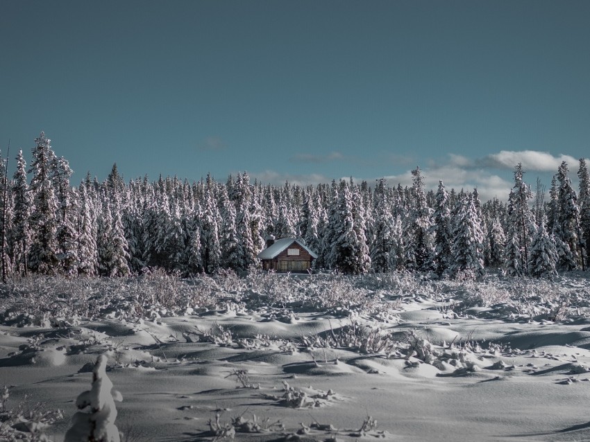 Free download | HD PNG winter house snow trees horizon sky 4k wallpaper ...