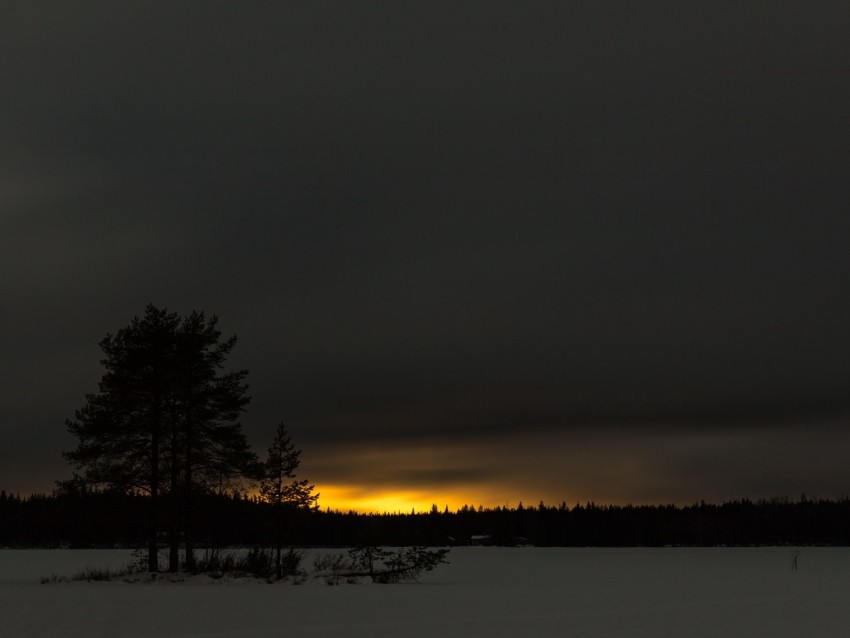 Free download | HD PNG winter sunset horizon snow night trees 4k ...