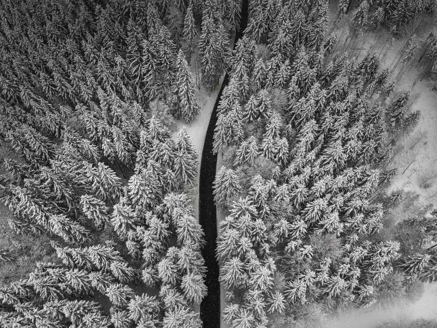 Free download | HD PNG winter trees aerial view snow road 4k wallpaper ...