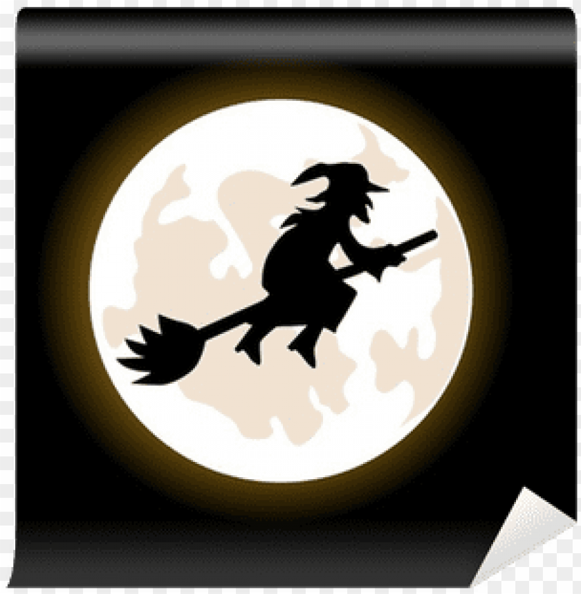 Free download | HD PNG witch flying across night sky PNG transparent ...