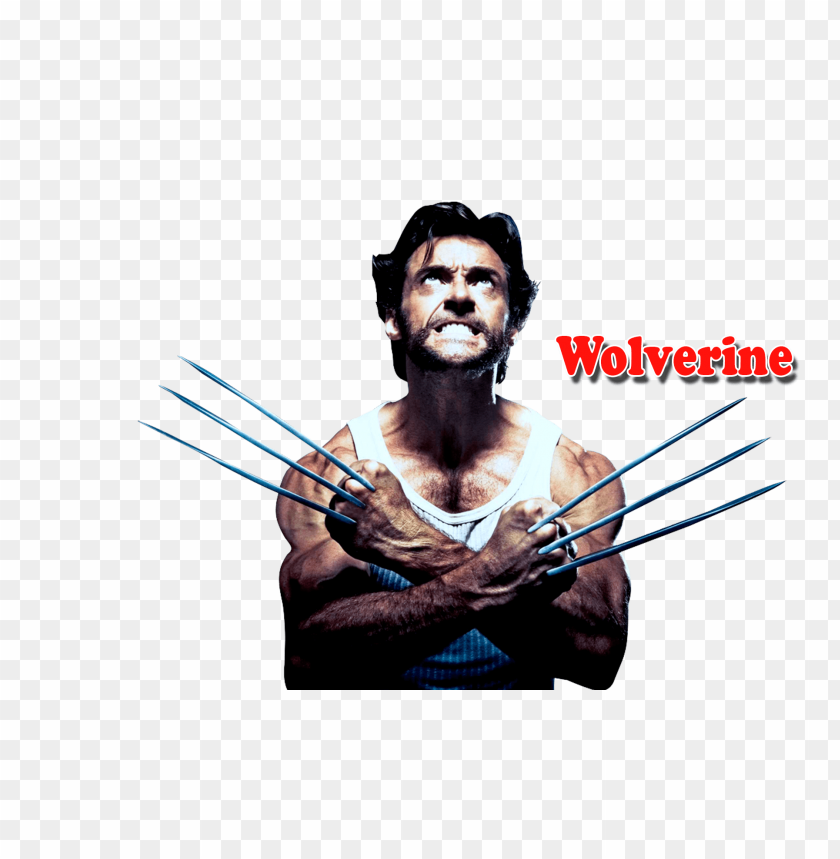 Free download | HD PNG wolverine comic style illustration png clipart ...