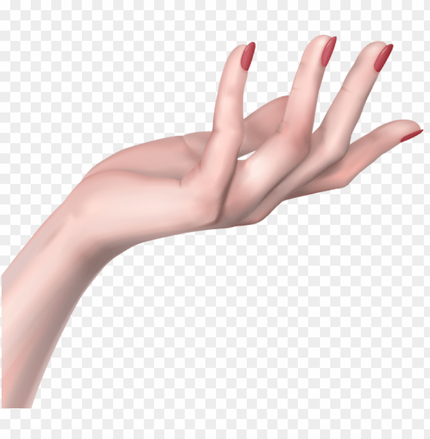 Free download | HD PNG woman hand clipart png photo - 48382 | TOPpng