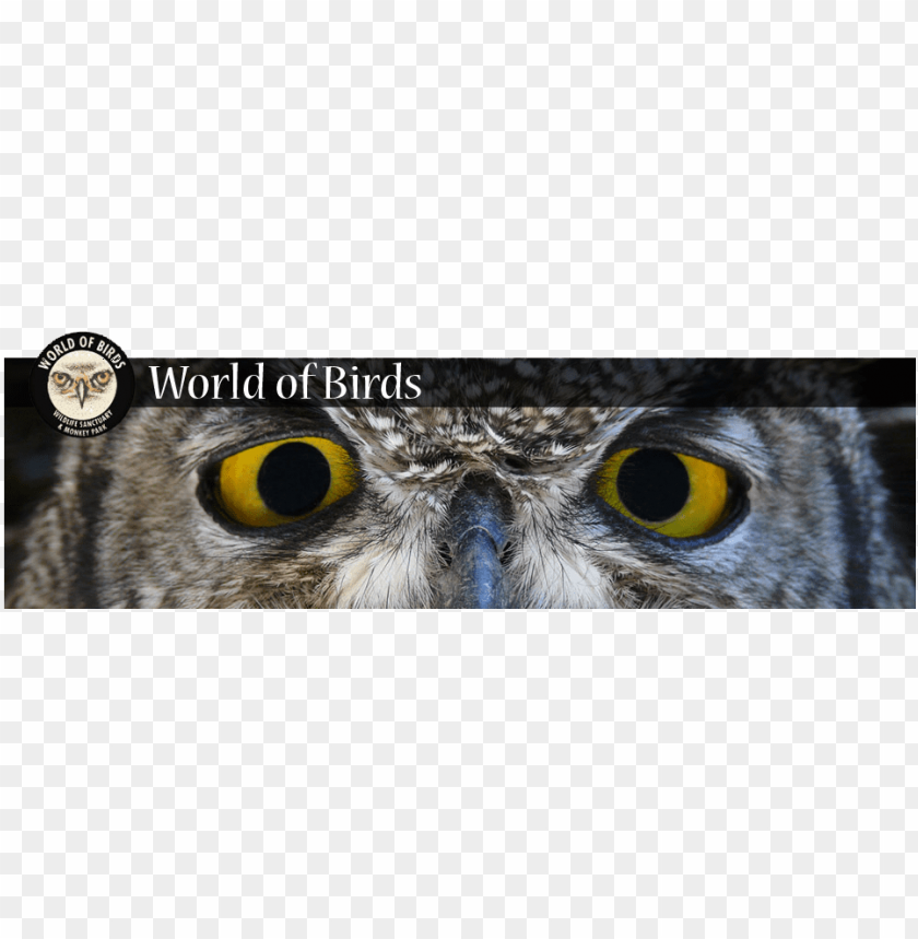 Free download | HD PNG world of birds wildlife sanctuary and monkey ...