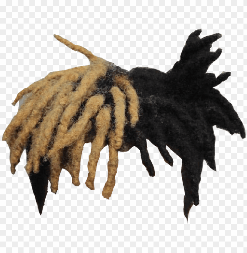 Free download | HD PNG xxxtentacion hair png xxxtentacion tee PNG ...