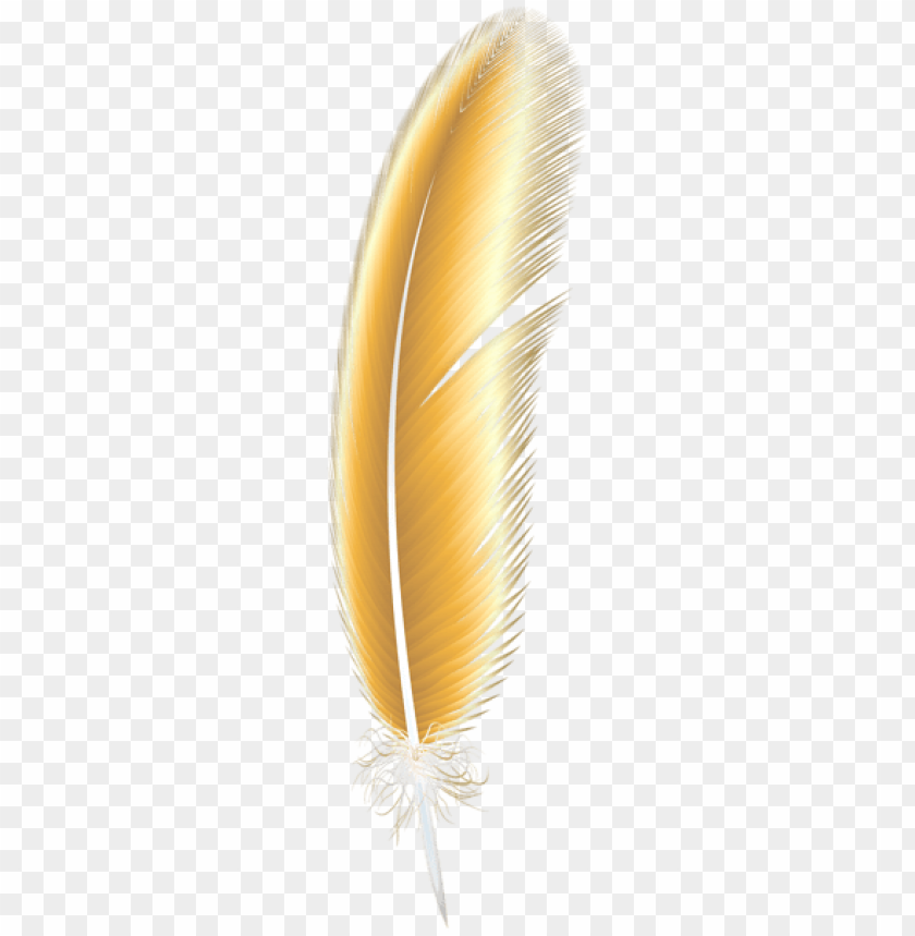 Free download | HD PNG yellow feather png clipart png photo - 45428 ...