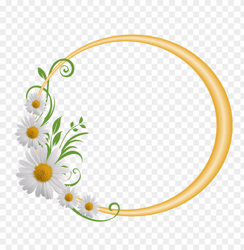 Free download | HD PNG yellow round frame with daisies background best ...