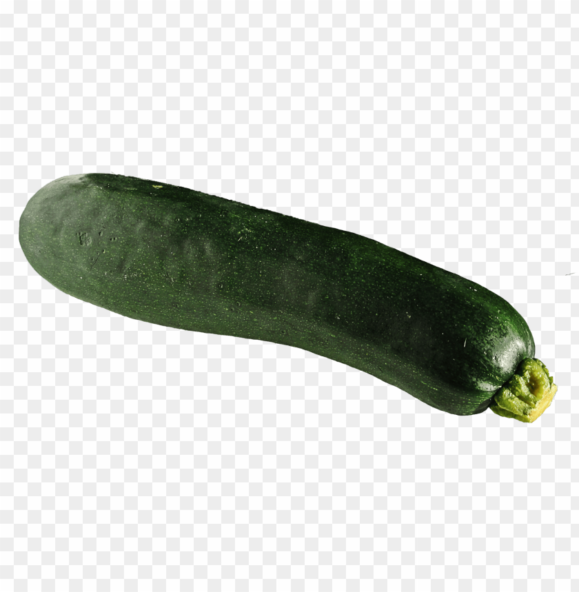 Free download | HD PNG zucchini PNG images with transparent backgrounds ...