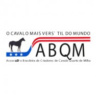 Download abqm logo vector png - Free PNG Images | TOPpng