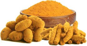 Download alpahar haldi powder png - Free PNG Images | TOPpng