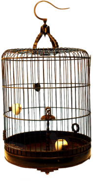 Download birdcage png - Free PNG Images | TOPpng