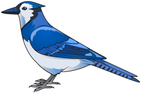 Download blue bird transparent png - Free PNG Images | TOPpng