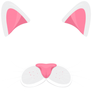 Download cat white face mask png - Free PNG Images | TOPpng