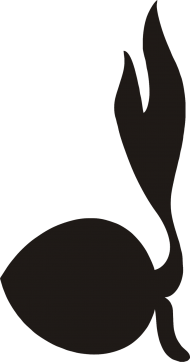 Download cikal pramuka png images background