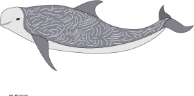 Download download bitmap picture risso's dolphin - dolphi png - Free ...