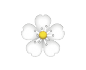 Download flower emoji transparent png - Free PNG Images | TOPpng