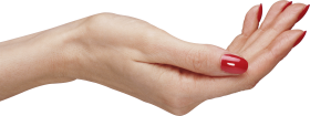 Download hands png - Free PNG Images | TOPpng