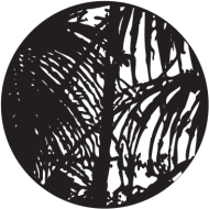 Download large jungle gobo - jungle gobo png - Free PNG Images | TOPpng