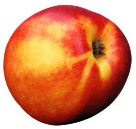 Download Peach png - Free PNG Images | TOPpng
