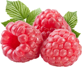 Download raspberry png - Free PNG Images | TOPpng