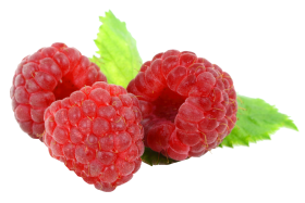 Download raspberry png - Free PNG Images | TOPpng