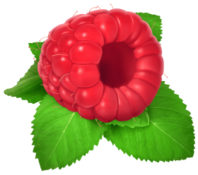 Download raspberry png - Free PNG Images | TOPpng