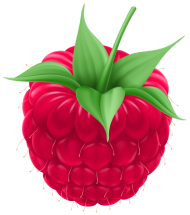 Download raspberry png - Free PNG Images | TOPpng