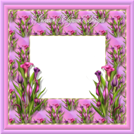 Download spring frame png png - Free PNG Images | TOPpng