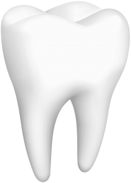 Download tooth png - Free PNG Images | TOPpng