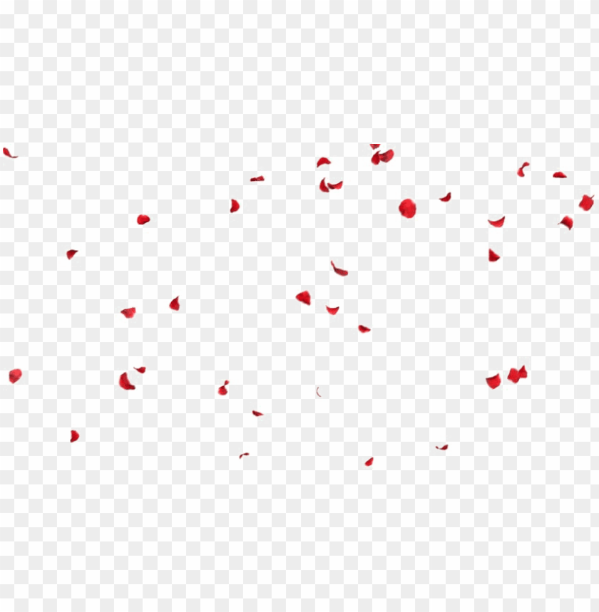 Cherry Blossom Falling Petals Png