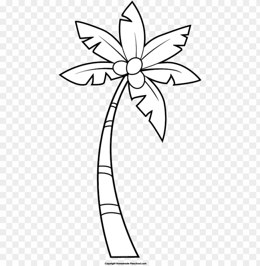 In Palm Tree Clipart Black And White Clipart Palm Tree Black And