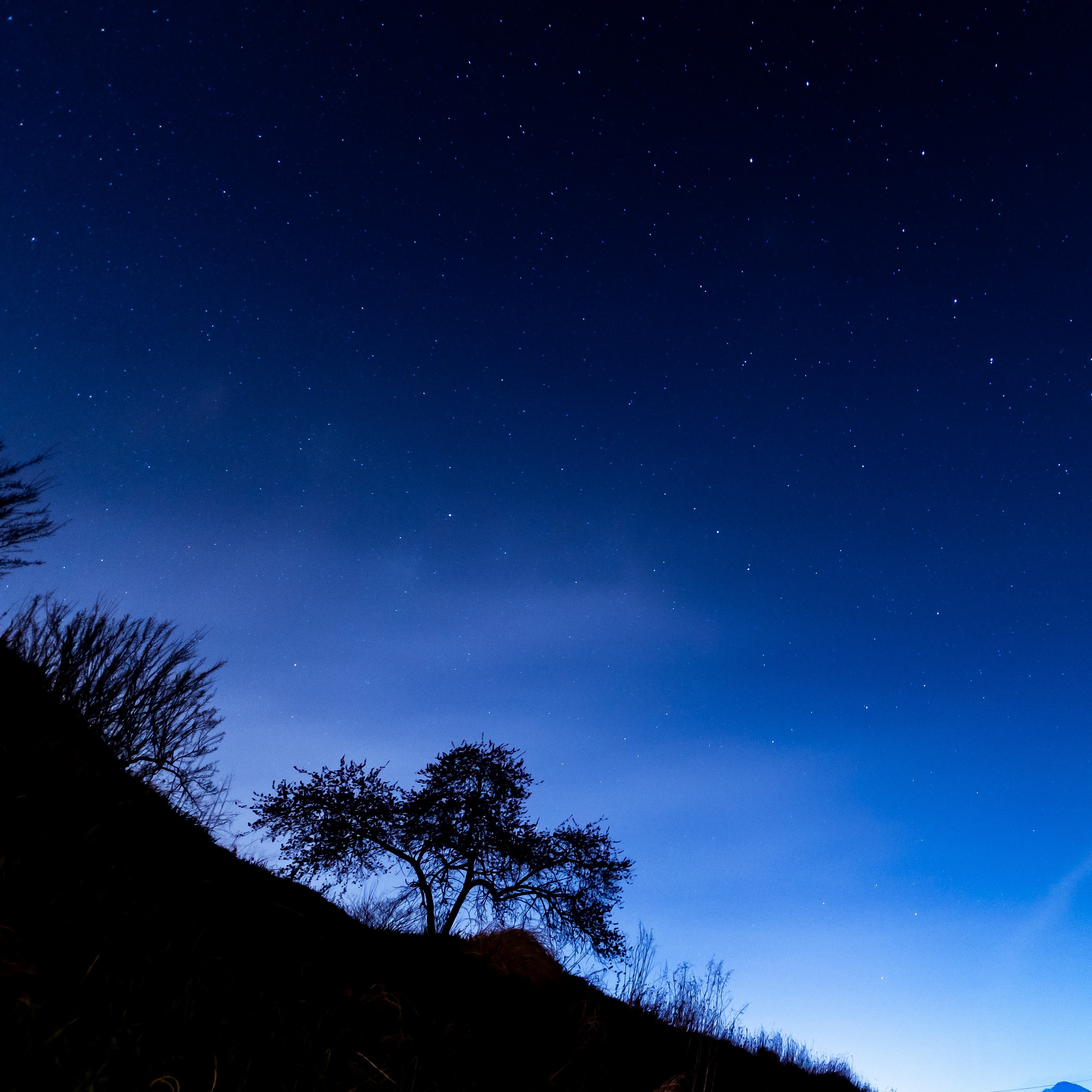Trees Slope Starry Sky Night Dark Cutout PNG Clipart Images TOPpng