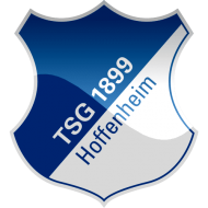 Free download | HD PNG tsg 1899 hoffenheim vector logo | TOPpng
