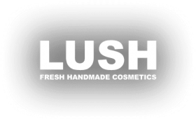 Lush Jungle Background With Leafy Green Frame Png | TOPpng