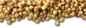 Individual Popcorn Kernels Close-Up | TOPpng